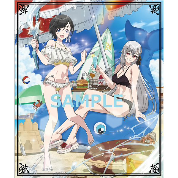 英雄王、武を極めるため転生す ～そして、世界最強の見習い騎士♀～ BD上巻｜の通販はソフマップ[sofmap]