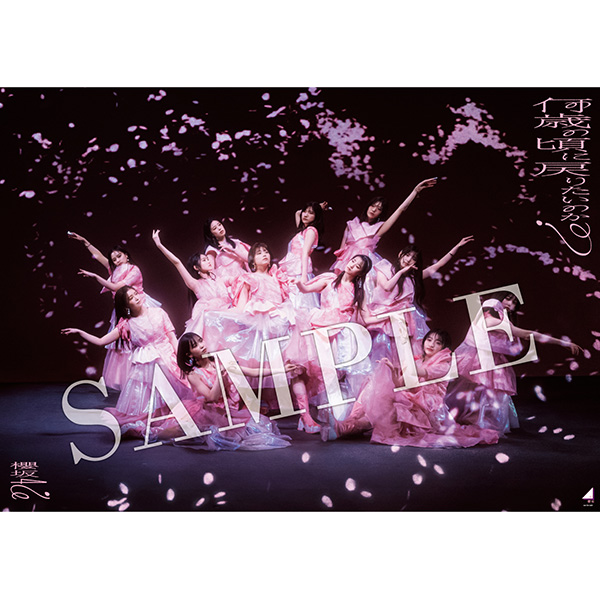 櫻坂46/ 何歳の頃に戻りたいのか？ CD+Blu-ray盤 TYPE-D｜の通販はソフマップ[sofmap]