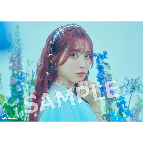 Liyuu/ TVアニメ『はたらく魔王さま！！』2nd Season EDテーマ：bloomin’ 初回限定盤｜の通販はソフマップ[sofmap]